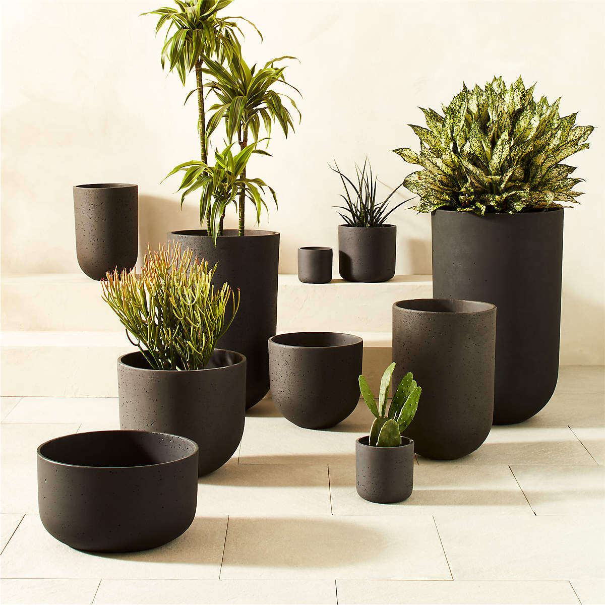 Fiberglass Pots – PETALEGY